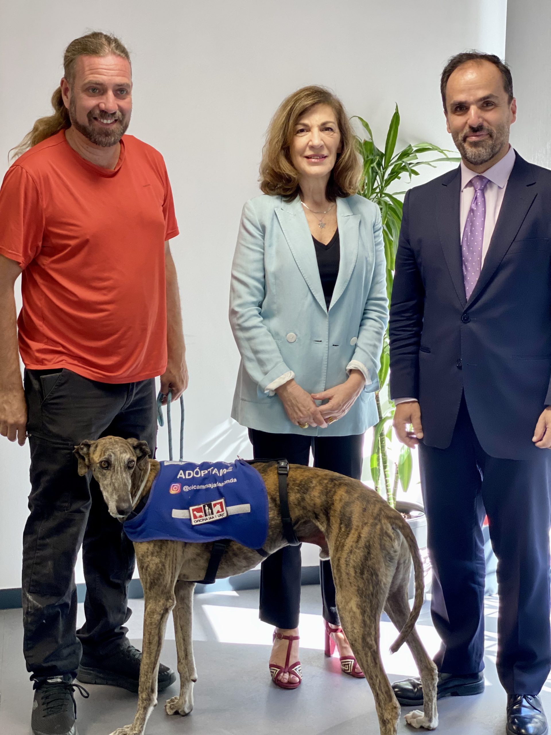 Convenio para estudiar el entrenamiento de perros en adopción con ...